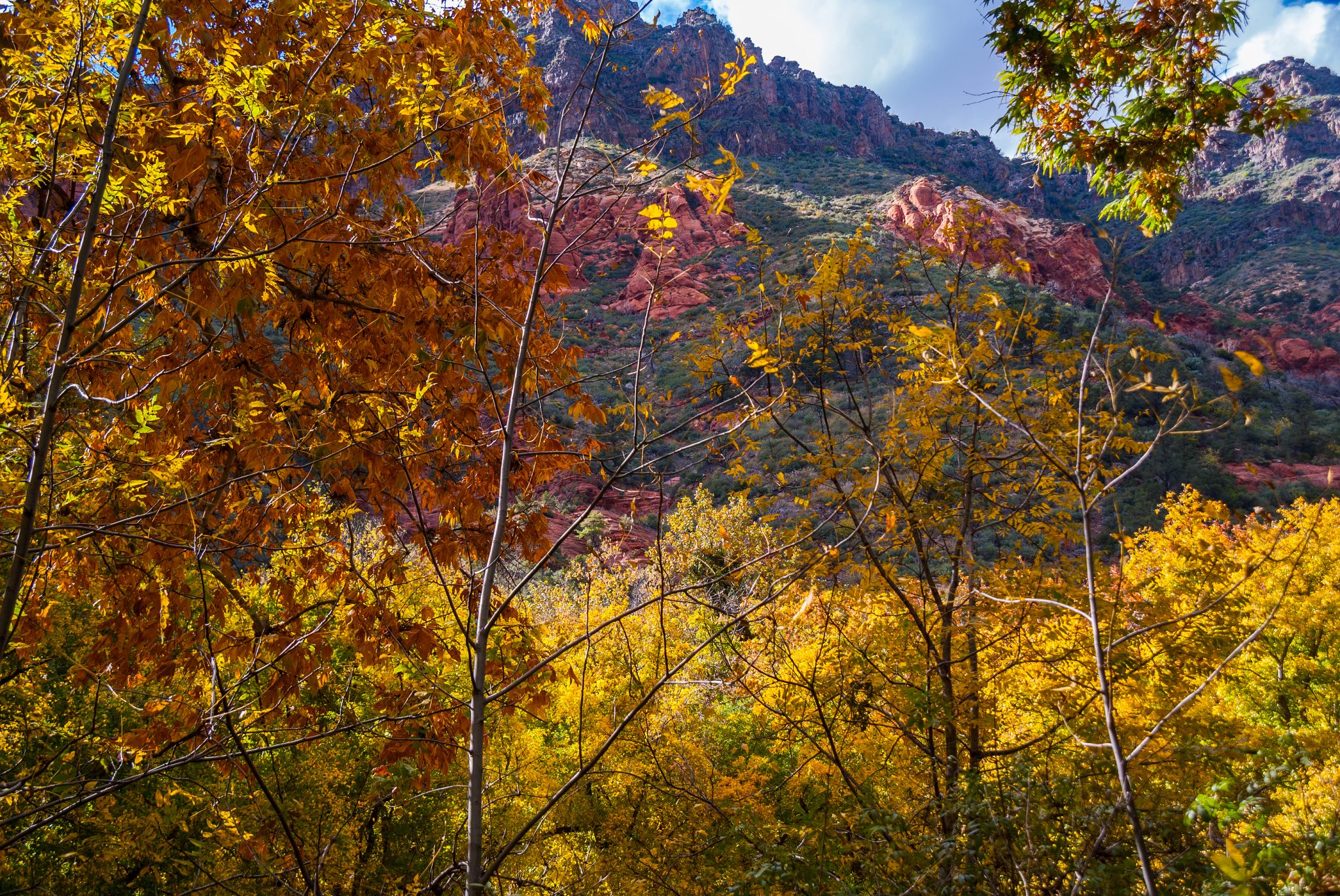 RV Fall Foliage Adventures | SkyMed International